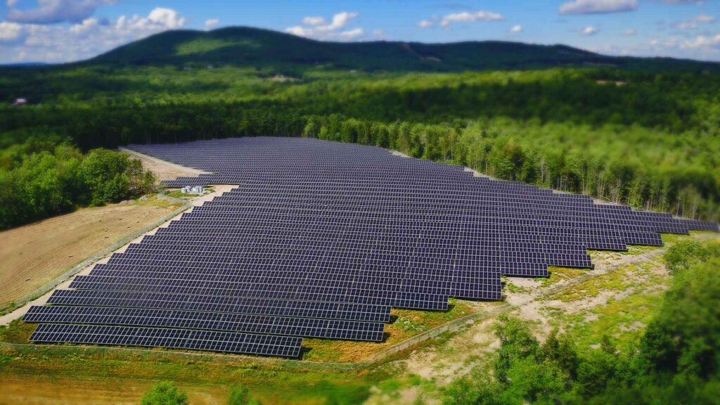 Learn the Benefits of Solar Energy | Rewild