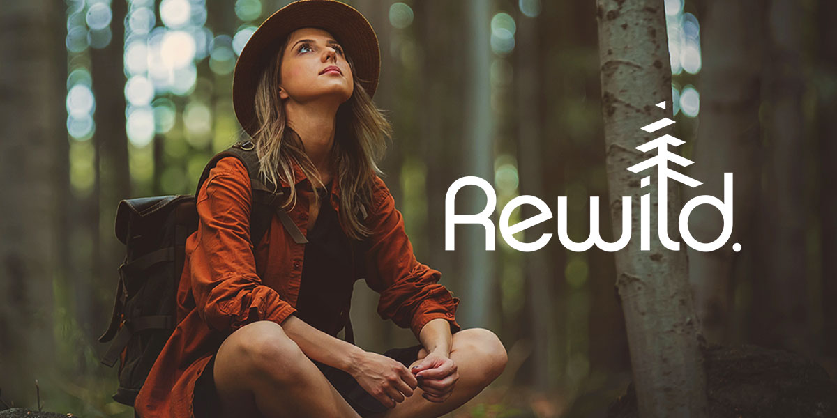 Rewild Combines Conservation and Solar Development | Rewild